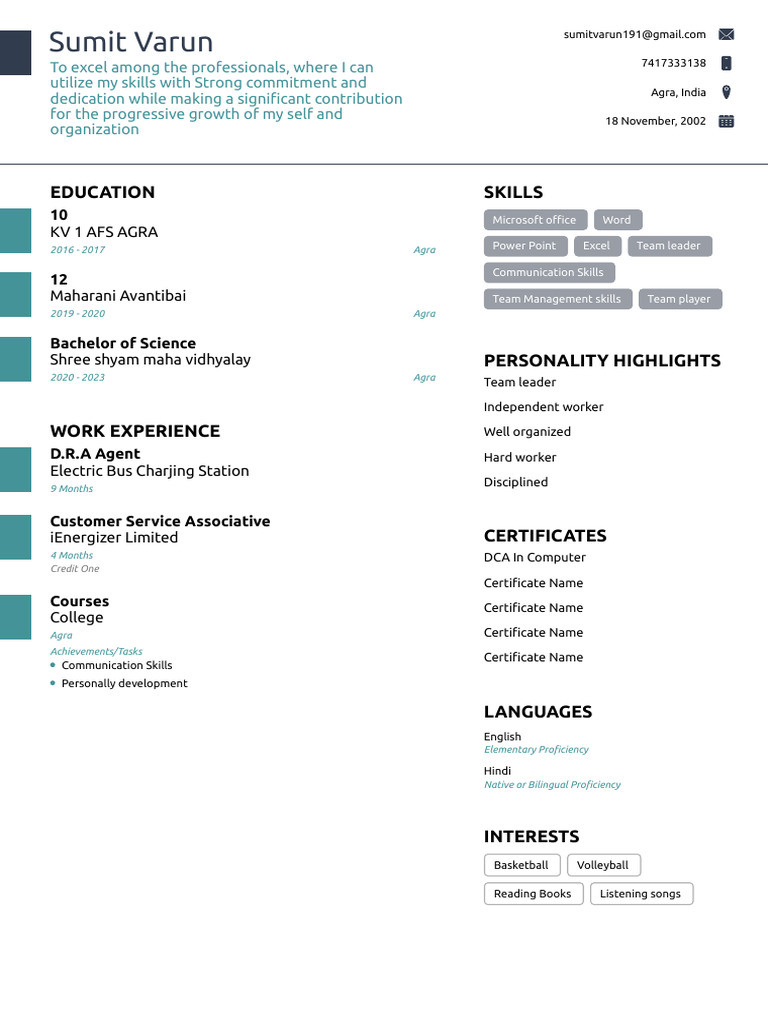 Sumit's Resume | PDF
