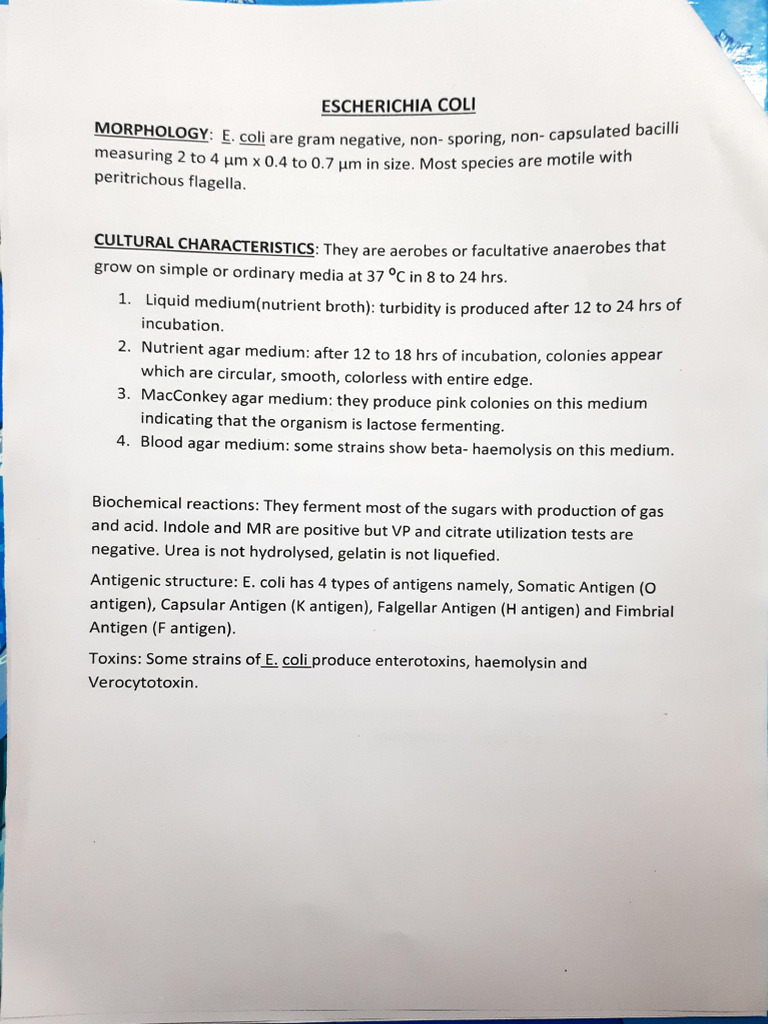 Escherichia Coli | PDF