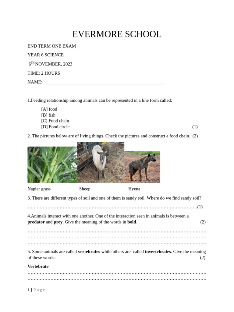 Year 6 Science Exam Paper 2023 | PDF | Seed | Flowers