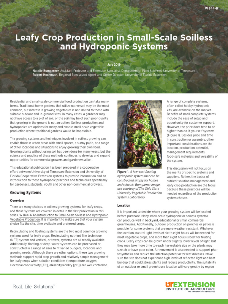 Leafy Crop Production in Small-Scale Soilless and Hydroponic Systems Authors Natalie Bumgarner ...