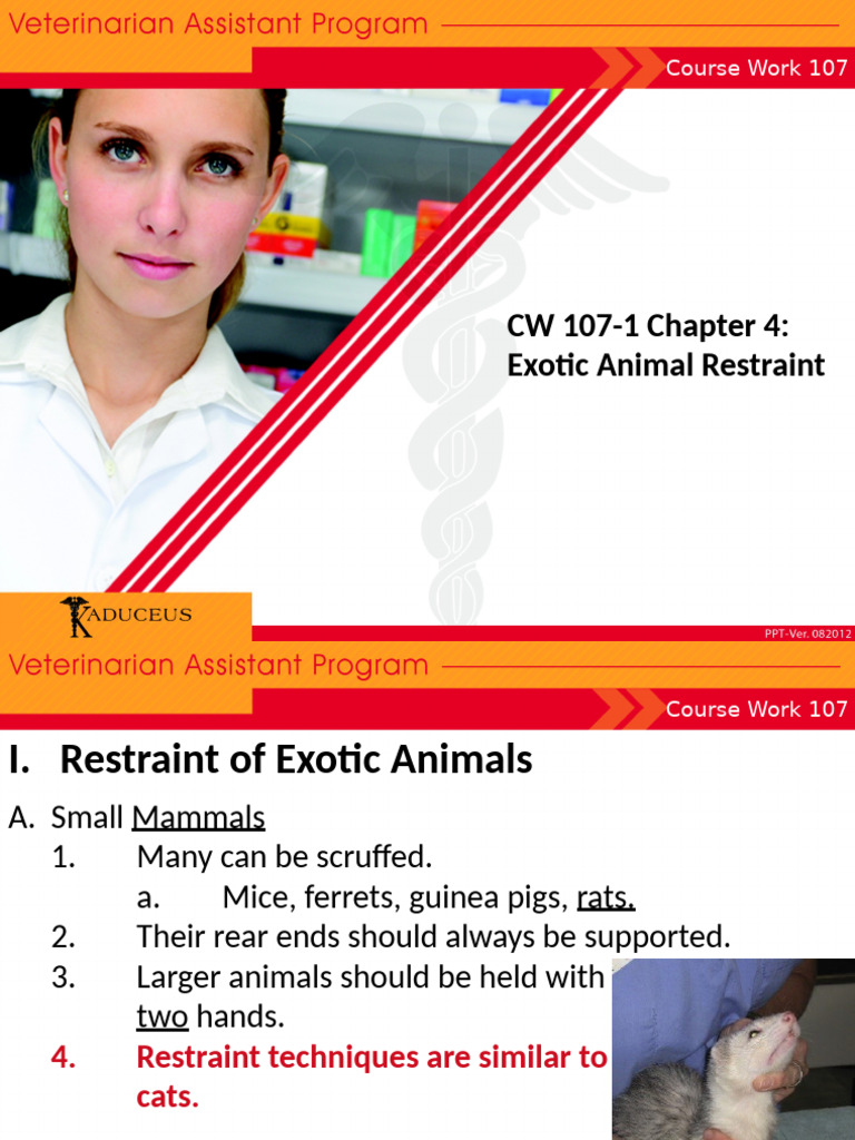 CW 107-1 Chapter 4: Exotic Animal Restraint: Course Work 107 | PDF ...