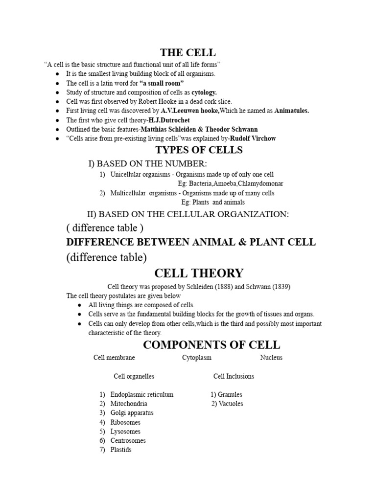 The Cell | PDF | Cytoplasm | Lysosome