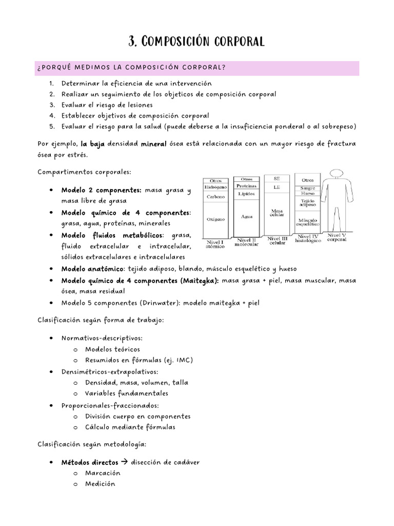 Composición Corporal | PDF