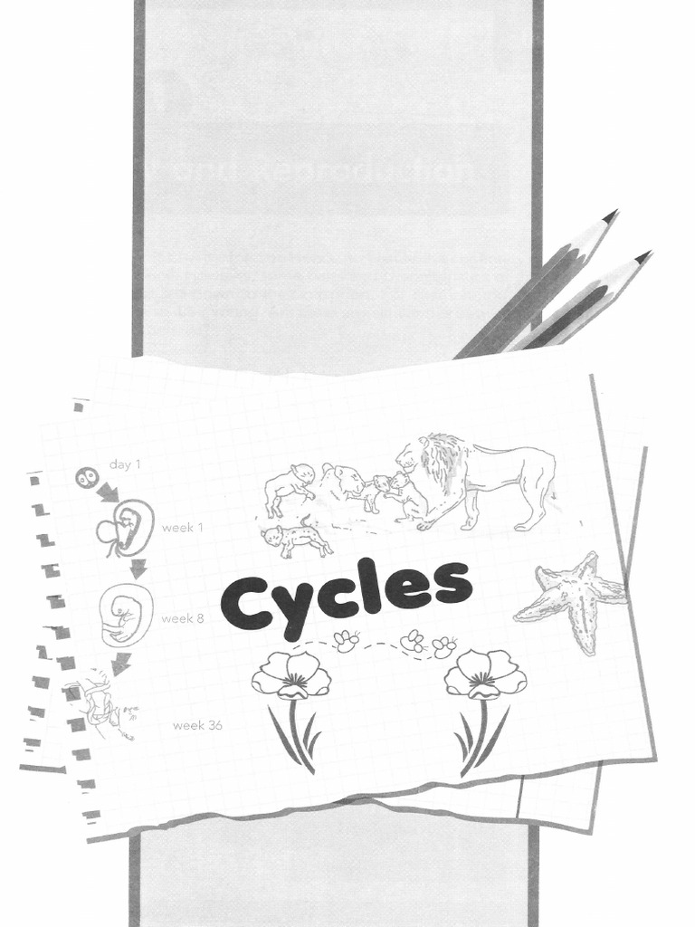 CYCLES-cropped | PDF