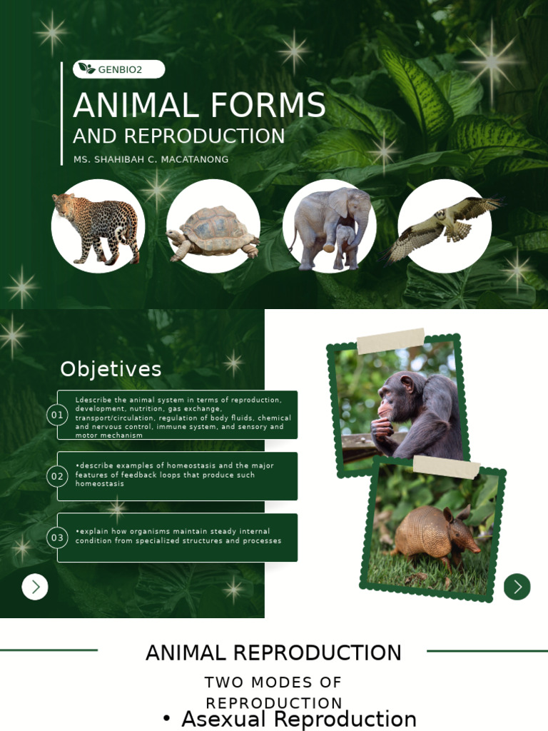 Animal Reproduction and Development | PDF | Embryo | Fertilisation