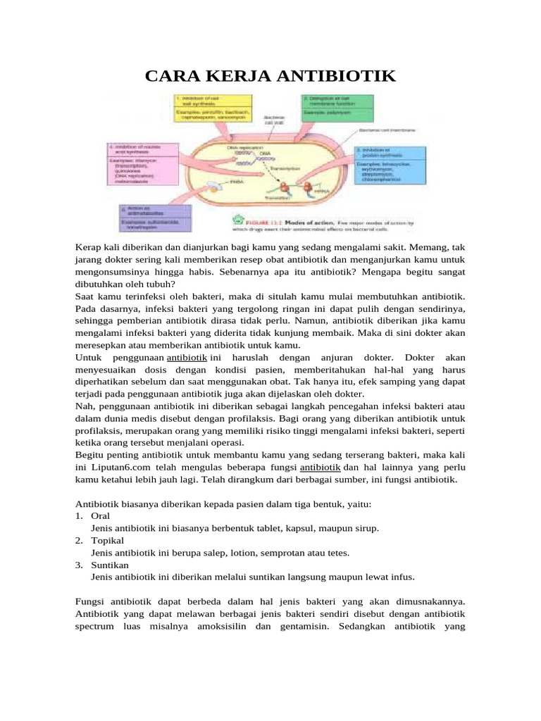 Cara Kerja Antibiotik | PDF | Pengembangan Diri | Kesehatan Holistik
