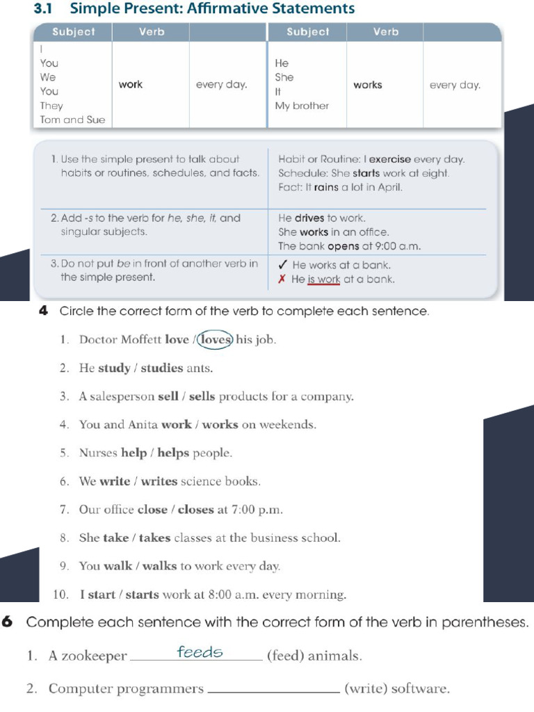Simple Present 3rd Person Explanation & Exercise Gr.7 | PDF
