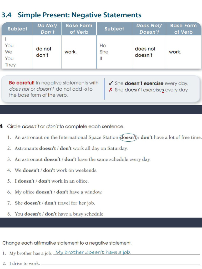 Simple Present - Negative Statements Explanation & Exercise Gr.7 | PDF