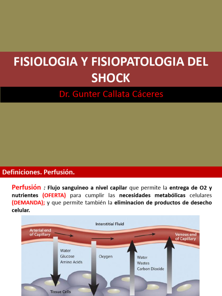 SHOCK | PDF | Choque (circulatorio) | Especialidades Medicas