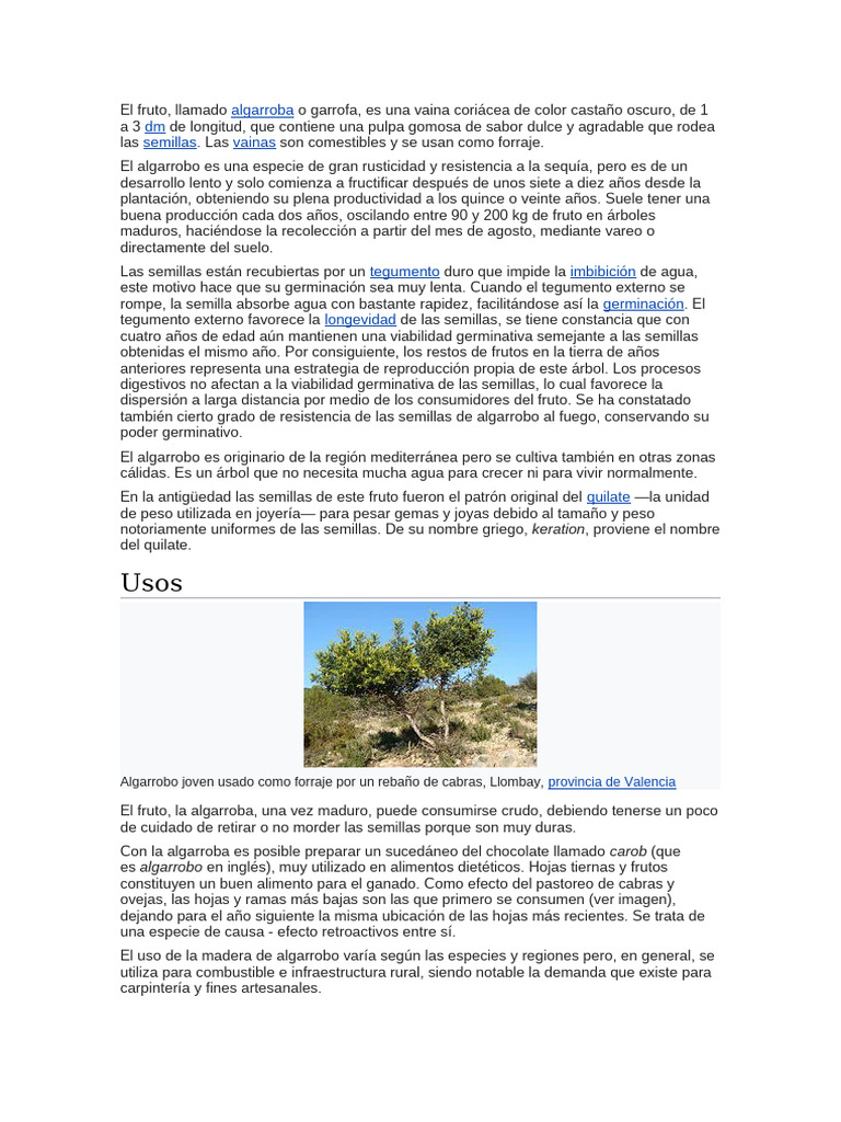 Usos y beneficios del algarrobo | PDF | Hogar, jardinería y bricolaje