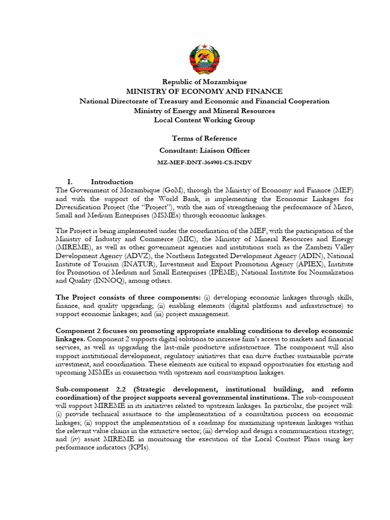 Mozambique Local Content Consultant ToR | PDF | Small And Medium Sized Enterprises | Strategic ...