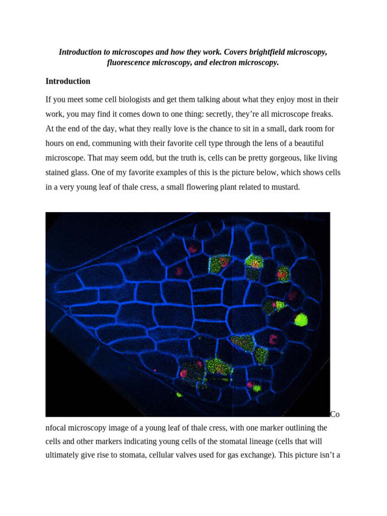 Cells - Study Review | PDF | Microscopy | Microscope