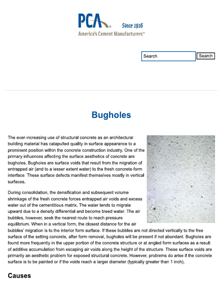 Bugholes | PDF
