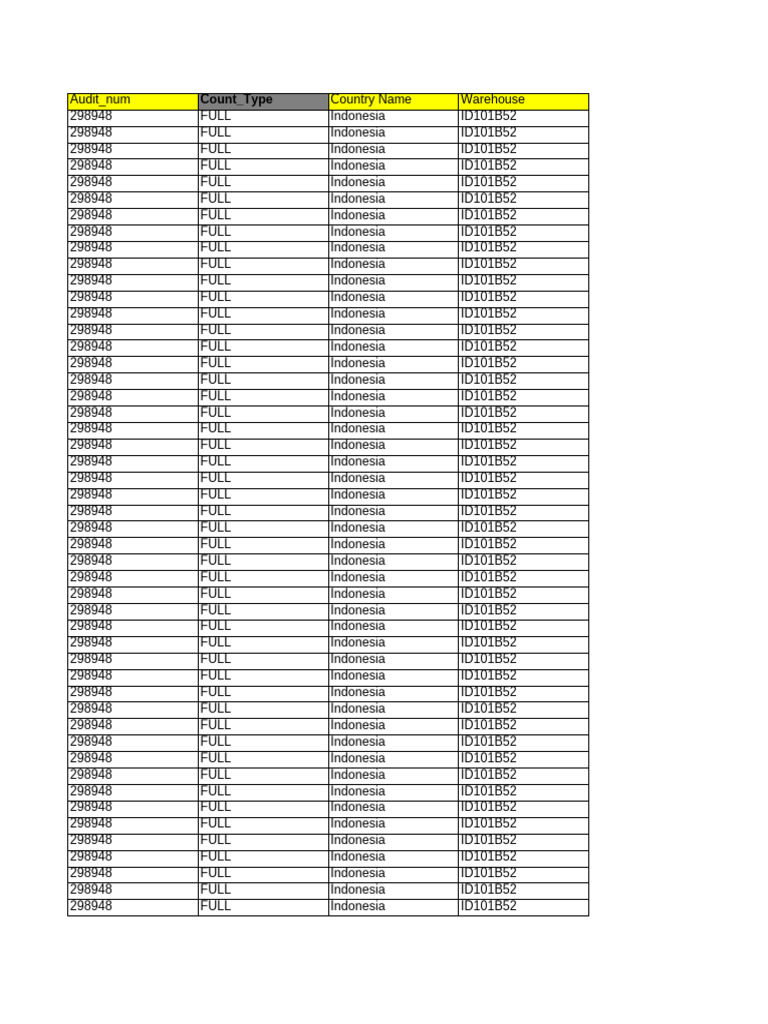 ID101B52 Audit 05022020 CT1 | PDF
