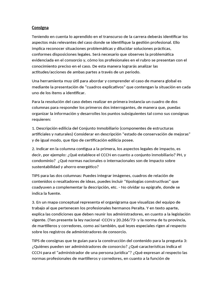 TP 1 - Integracion Profesional - Consignas | PDF