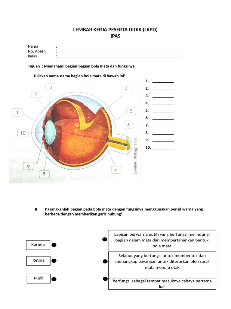LKPD IPAS BAB 1 (Mata Dan Fungsinya) | PDF