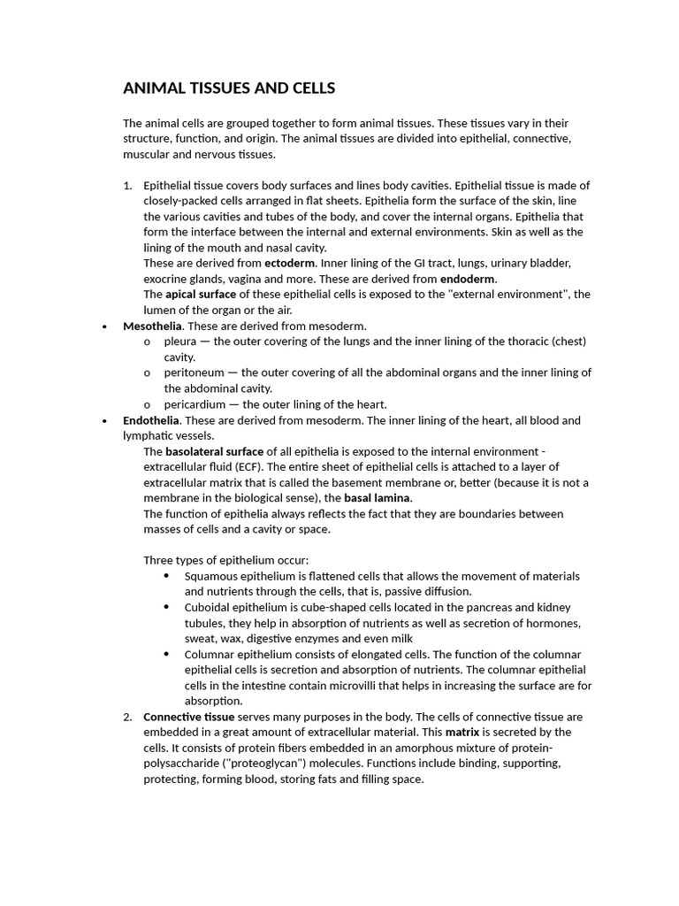 Animal Tissues: Types and Functions | PDF | Epithelium | Connective Tissue