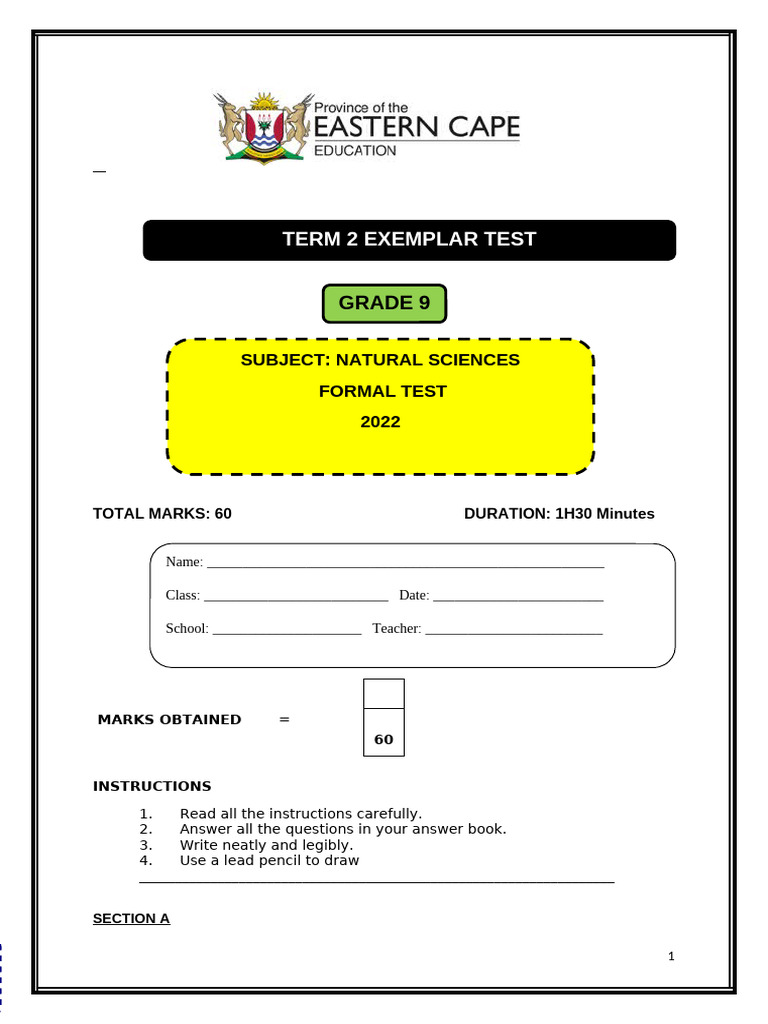 2022 NS - Grade 9 Term 2 Test (1) - 1 | PDF | Combustion | Atoms