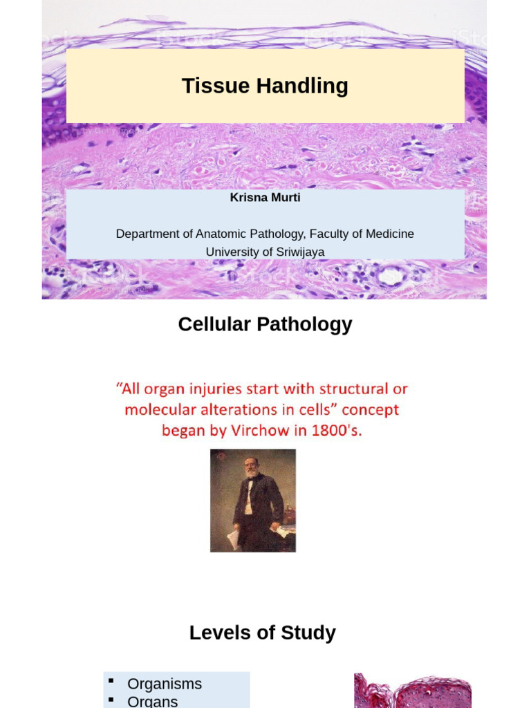 Tissue Handling | PDF | Fixation (Histology) | Laboratory Techniques