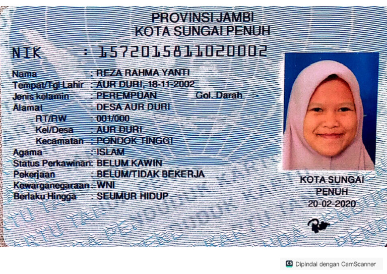 Kartu Tanda Penduduk KTP | PDF