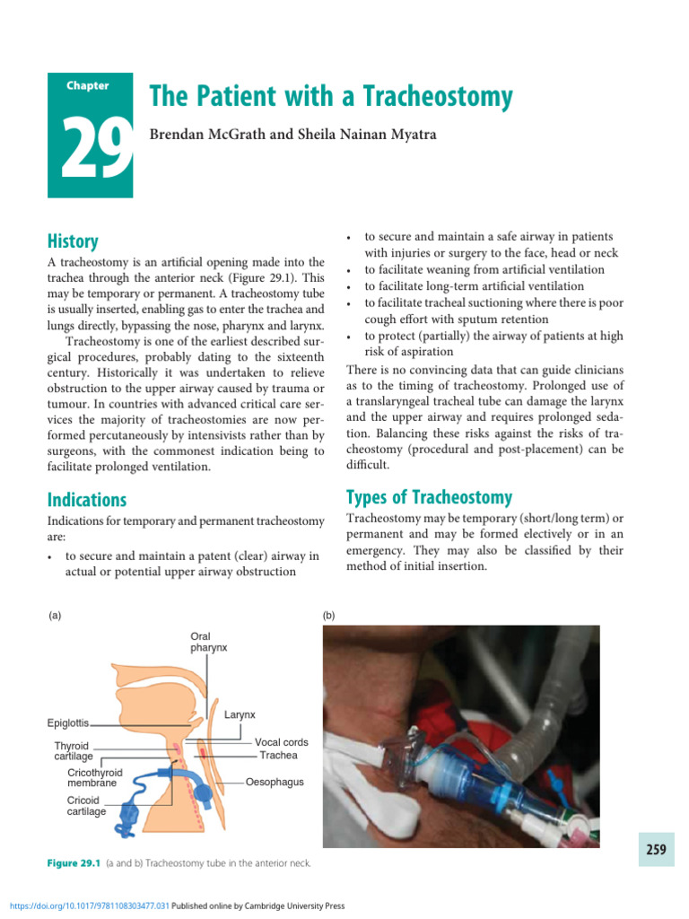29 Patient - With - A - Tracheostomy | PDF | Respiratory Tract ...