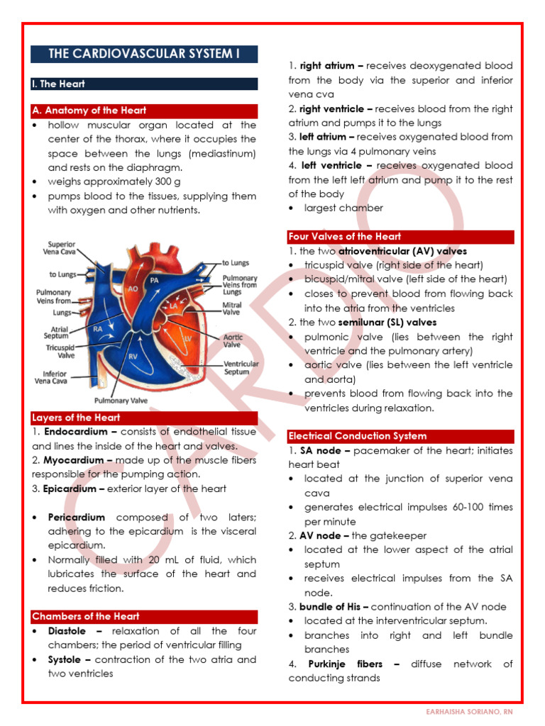 MS Cardio1 Handout Soriano e | PDF | Heart | Heart Valve