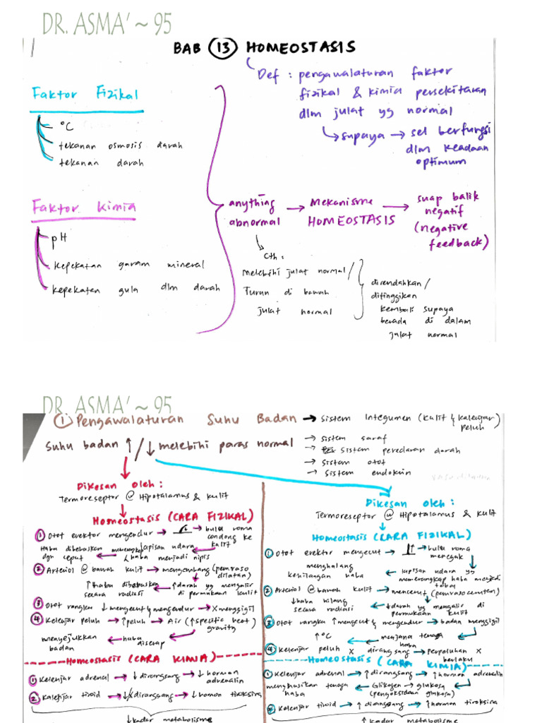Bio F4 KSSM Bab 13 | PDF