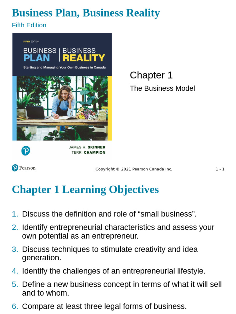 Business Plan Business Reality Chap01 | PDF | Entrepreneurship | Business