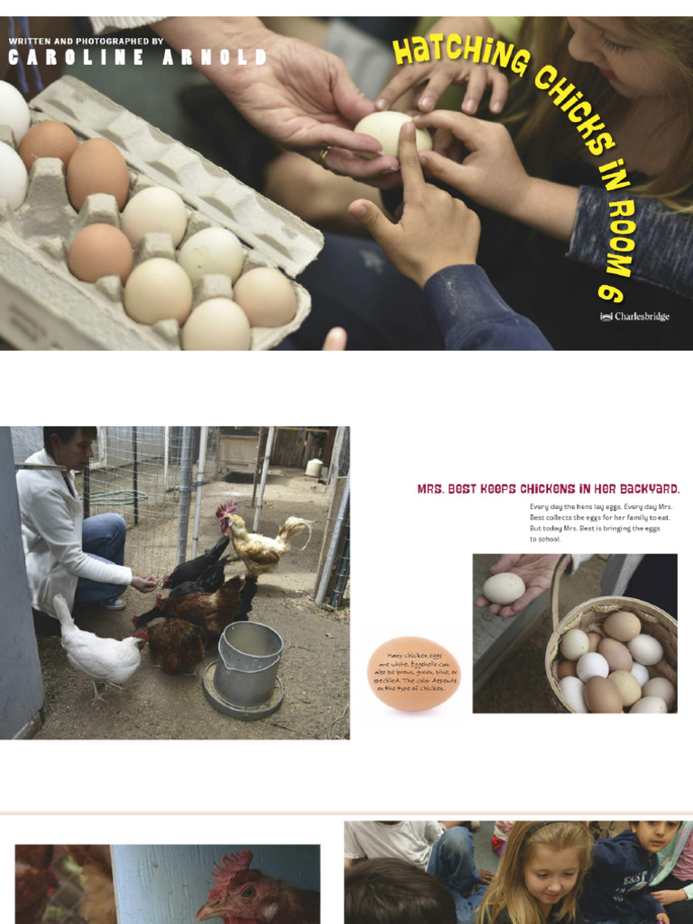 Hatching Eggs Book | PDF
