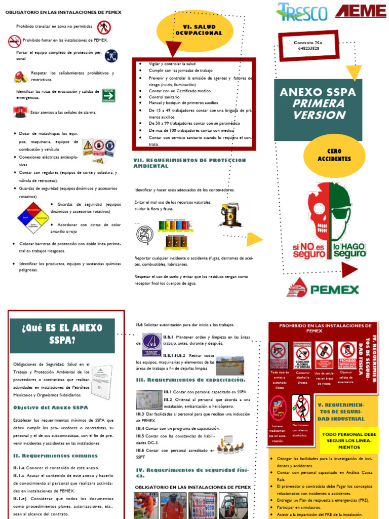 Anexo Sspa Triptico | PDF