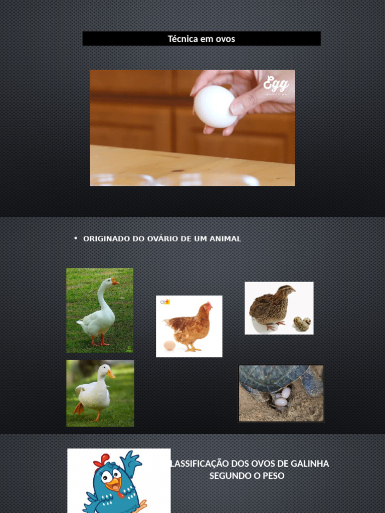 Cópia de AULA OVOS | PDF | Ovo