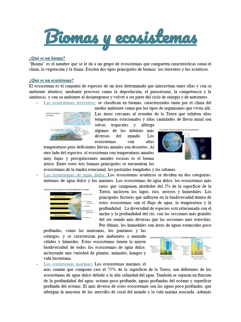 Biomas y Ecosistemas | PDF | Ecosistema | Red alimentaria