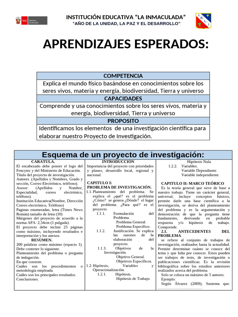 Esquema de Proyecto | PDF | Hipótesis | Teoría