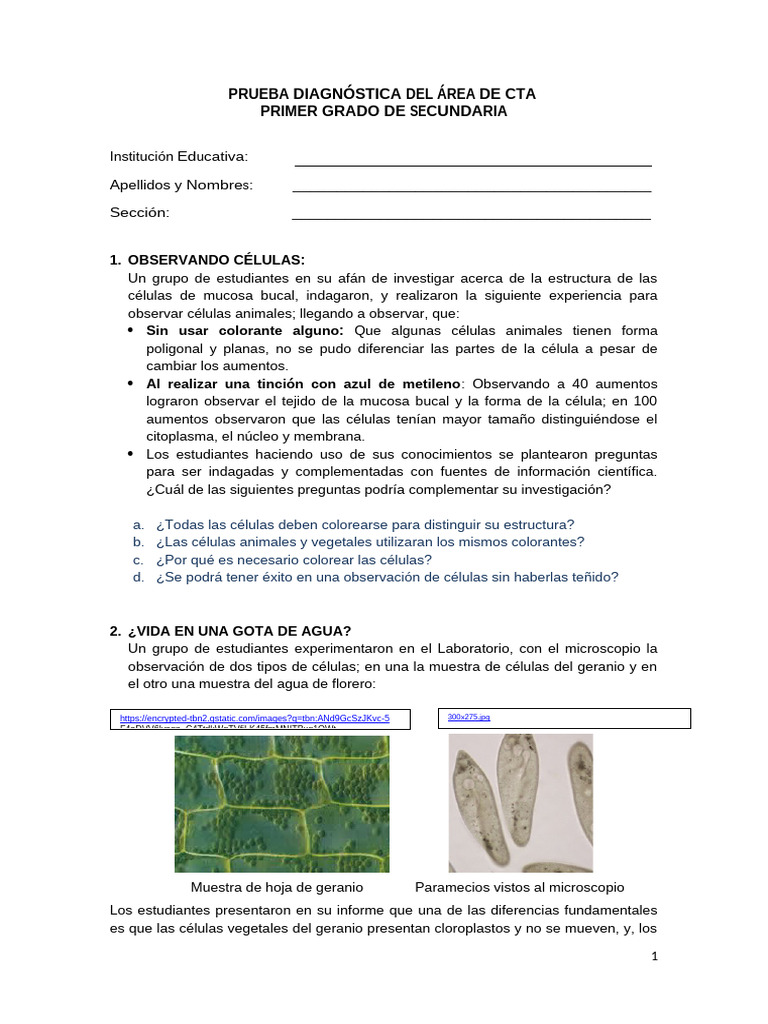 EVALUACION DIAGNOSTICA_CyT_ PRIMER AÑO_2024 | PDF | Biología Celular) | Plantas