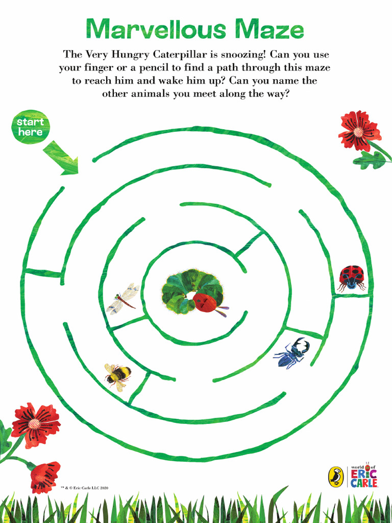 Play and Grow Eric Carle Activity Pack 1 | PDF