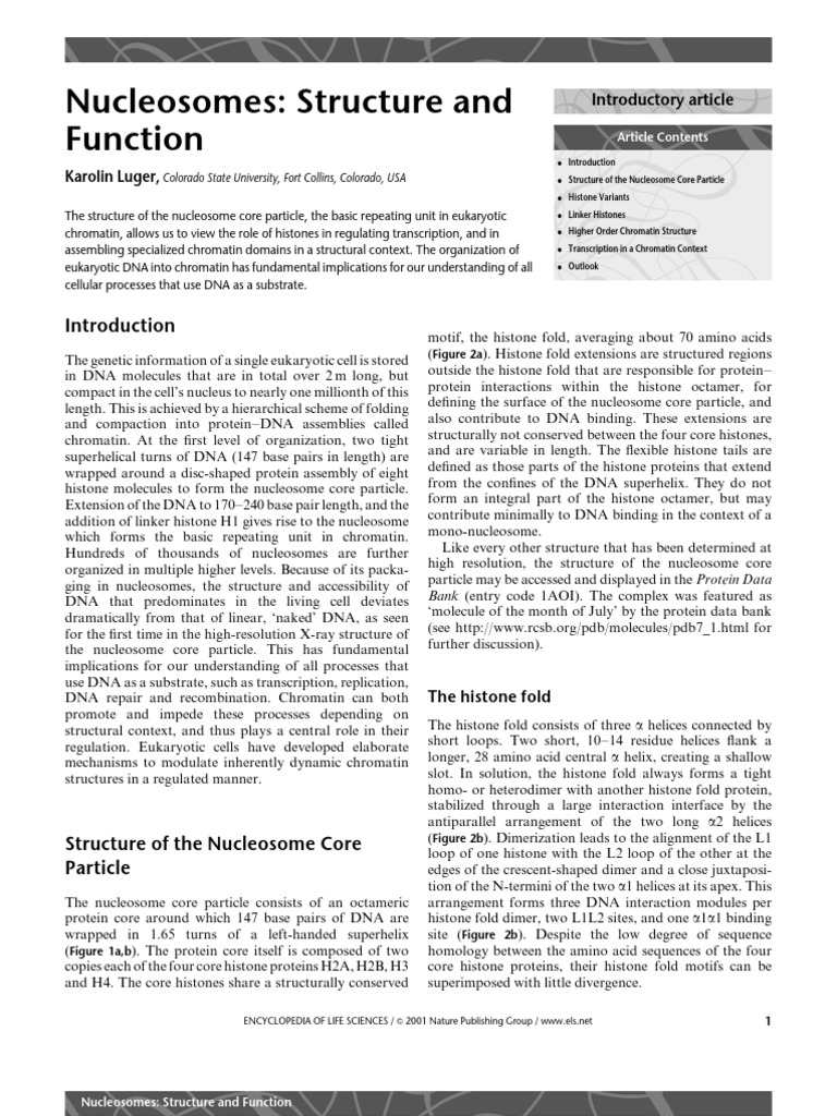 Karolin Luger - Nucleosomes: Structure and Function | PDF | Histone ...