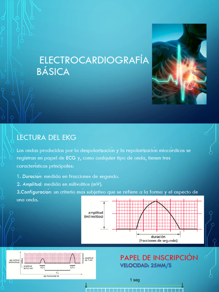 Lectura Del EKG y Arritmias FP211!1!2024 - C | PDF ...