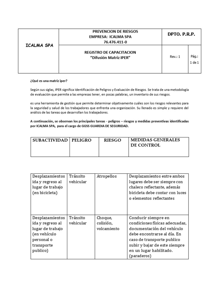 INSTRUCTIVO IPER | PDF