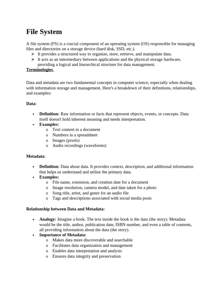 File System | PDF | File System | Computer File
