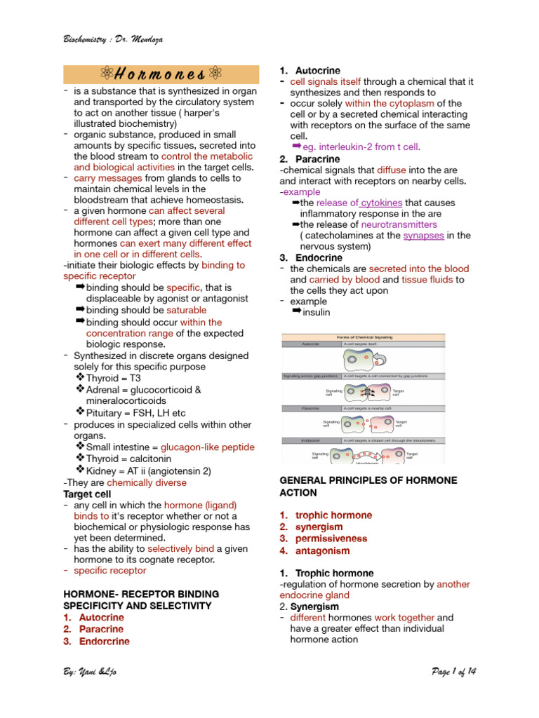 Biochem. - HORMONES - DR - MENDOZA | PDF | Adrenal Gland | Luteinizing ...
