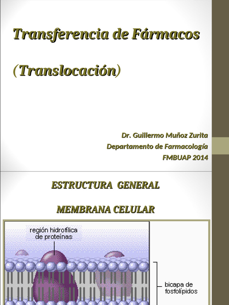 Translocacion | PDF | Membrana celular | Medicamentos con receta