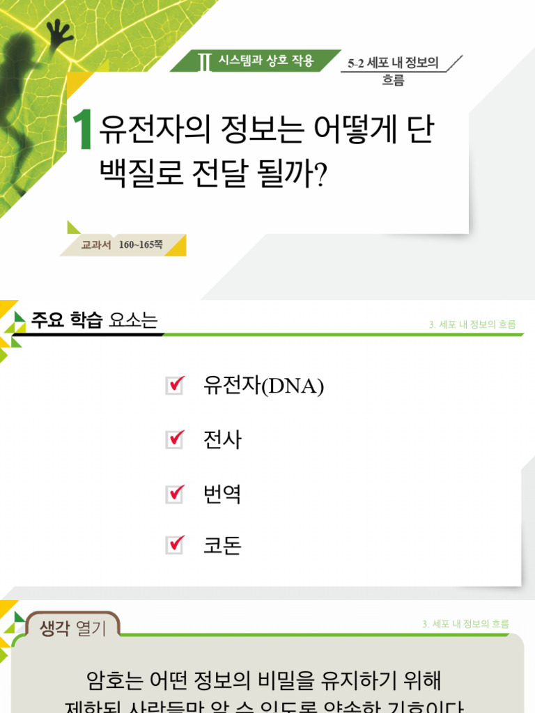 5-2 1,2 단백질발현,돌연변이 | PDF