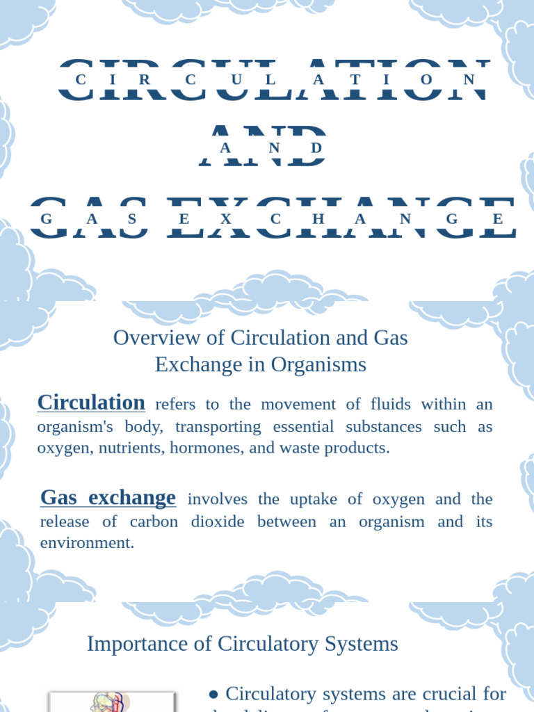 Circulation and Gas Exchange | PDF | Respiratory System | Blood