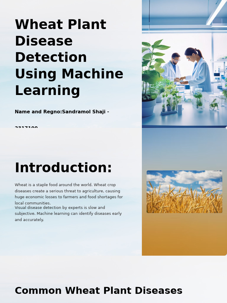 Plant Disease Detection Using Machine Learning | PDF | Wheat | Machine ...