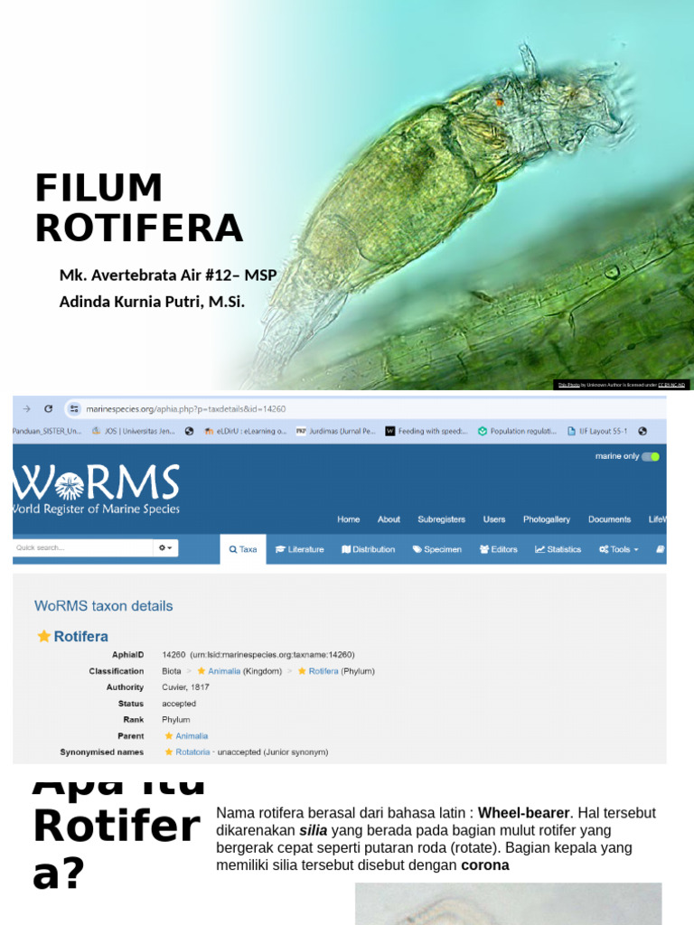 Filum Rotifera | PDF | Griya & Taman | Sains & Matematika