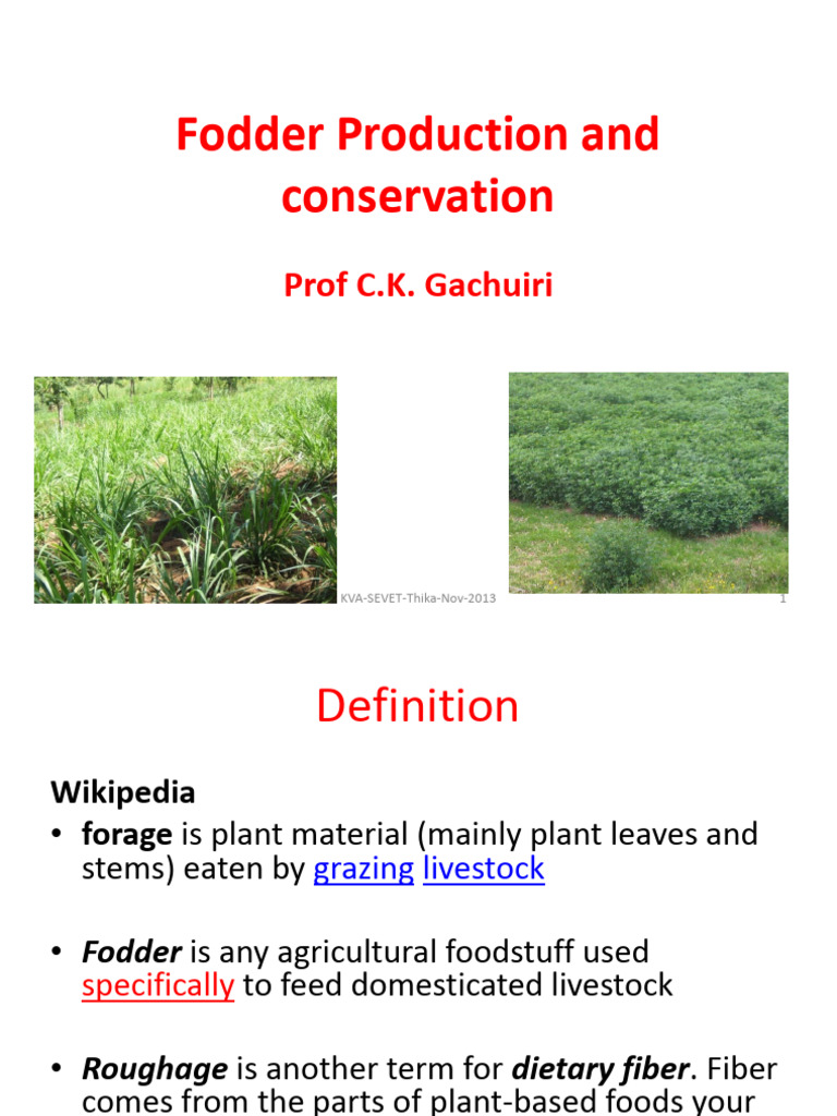 Fodder Production and Conservation | PDF | Hay | Dietary Fiber