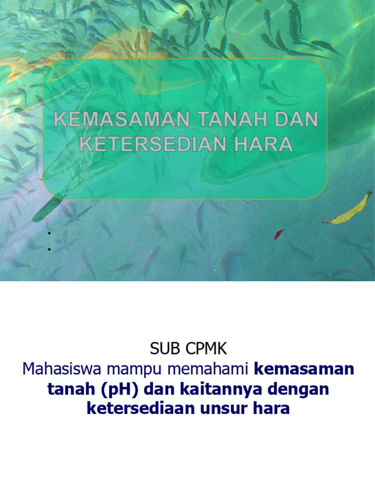 TM 10. Kemasaman (PH) Dan Ketersediaan Hara | PDF