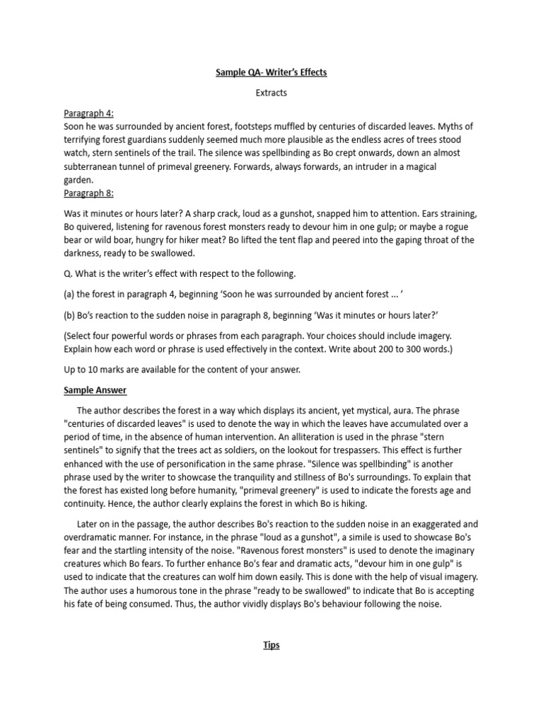 Writer's Effect Sample and Tips | PDF | Adjective | Feeling