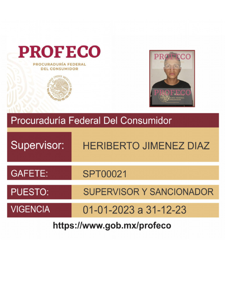 Profeco 2023 | PDF