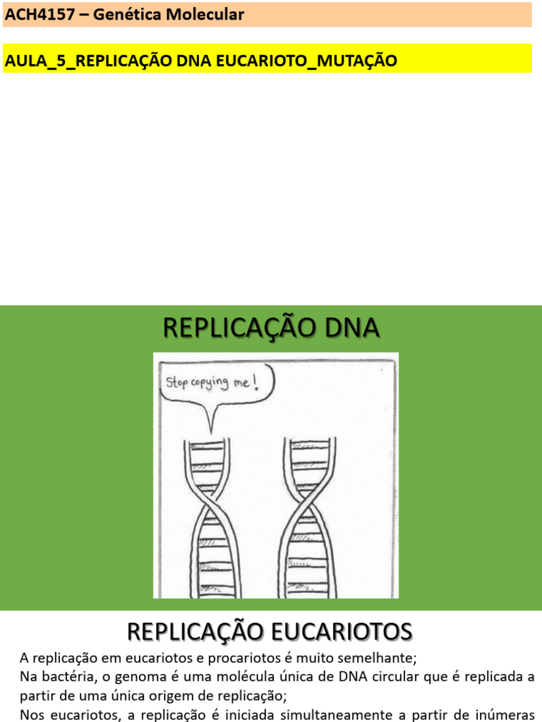 Aula - 5 - Replicação Dna Eucarioto - Mutação | PDF | Telômero ...